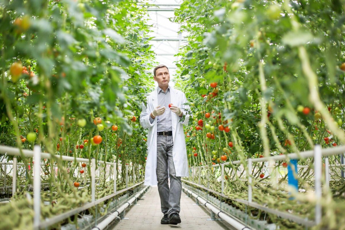 Food Analytical Services - Pharmaregtech